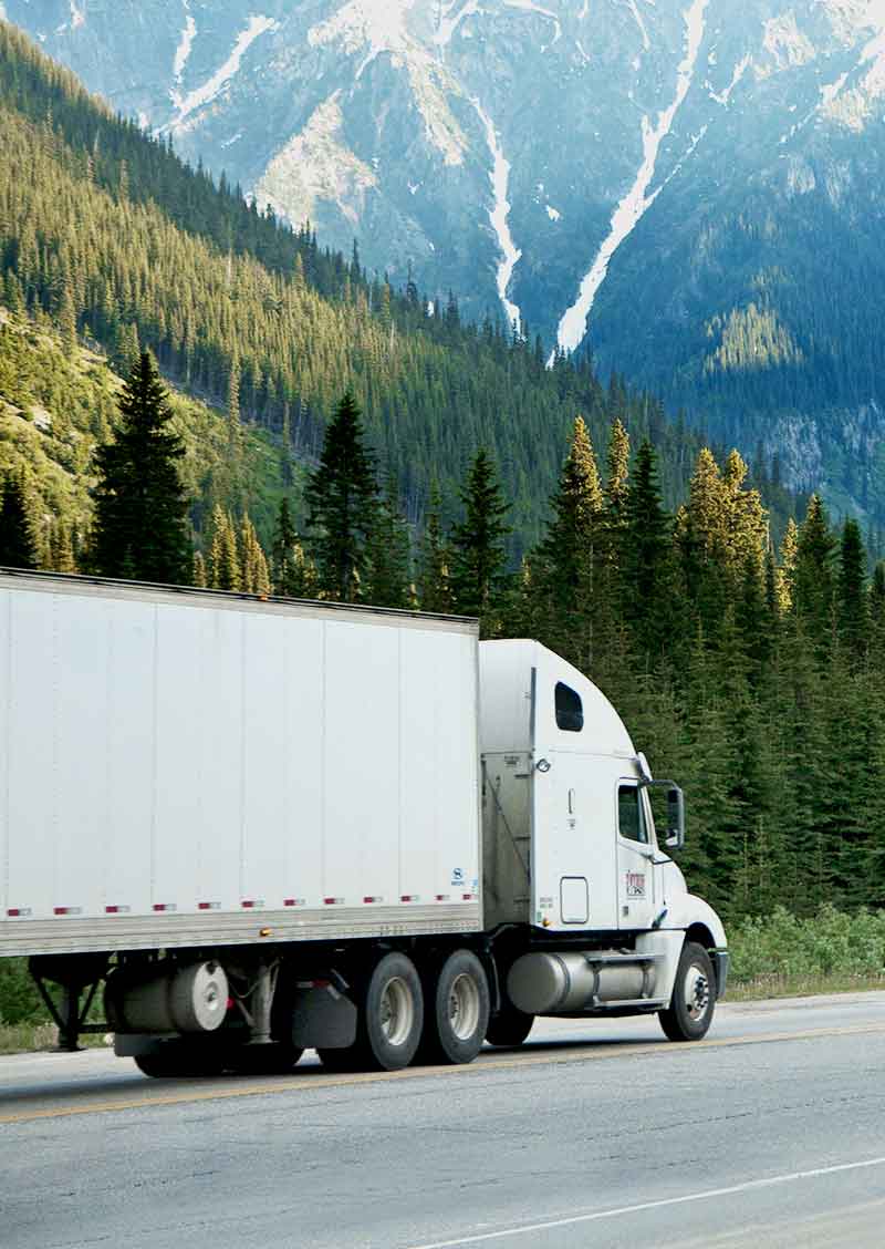 SPARROW SHIPPING LLC – Leading logistics and freight forwarding company ...